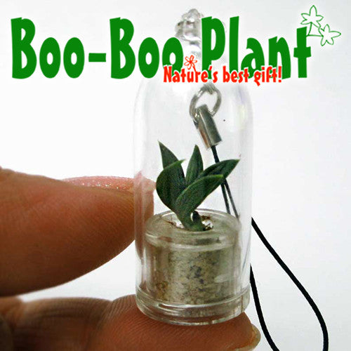 Boo-Boo Plant Tiny Live Succulent and Cactus Terrarium Necklace Plants