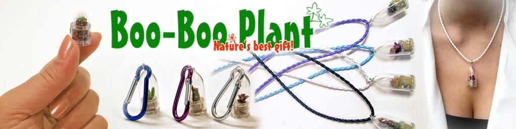 Boo-Boo Plant Tiny Live Succulent and Cactus Terrarium Necklace Plants